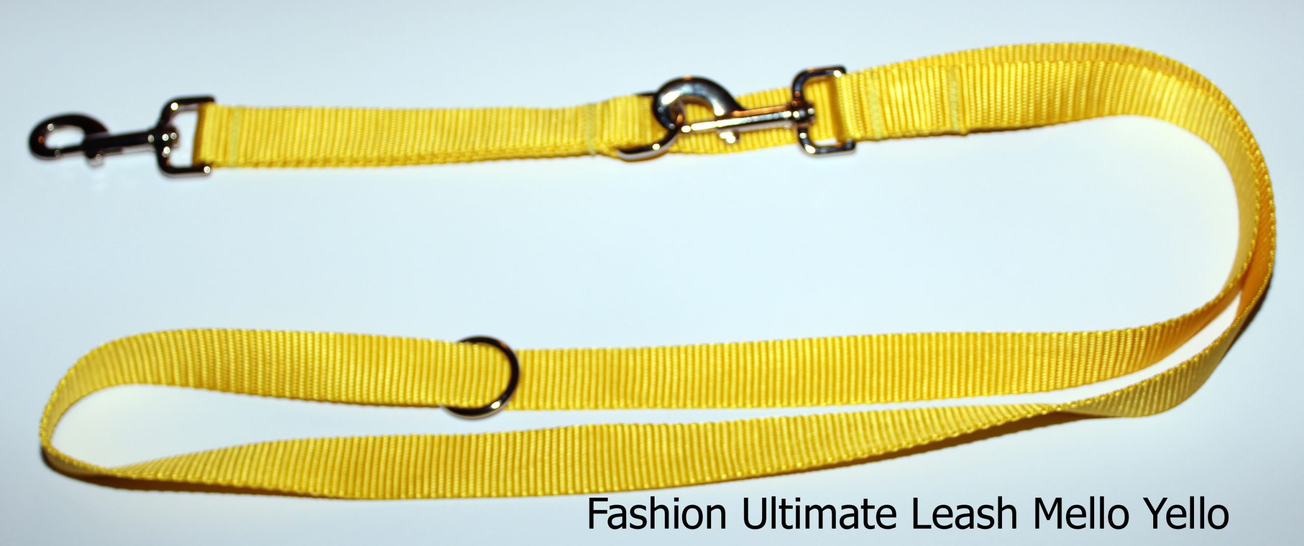 The Best Dog Leash: The Ultimate Leash Fashion Series